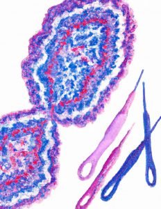 Types of Crochet Loops